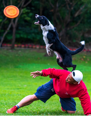 10 Best Fun games to play with dogs outside - Unveiling Dog Secrets ...