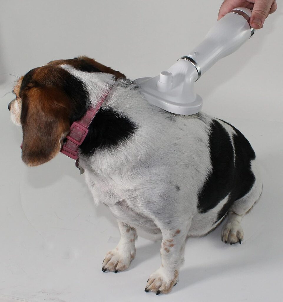 Penn-Plax Quick-Dry 2 in 1 Pet Grooming Tool Review - Unveiling Dog Secrets: Elevate Your Dog ...