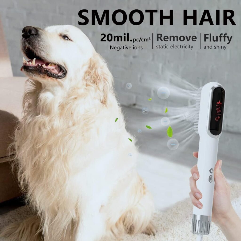 Petzinga Dog Dryer Review - Unveiling Dog Secrets: Elevate Your Dog ...